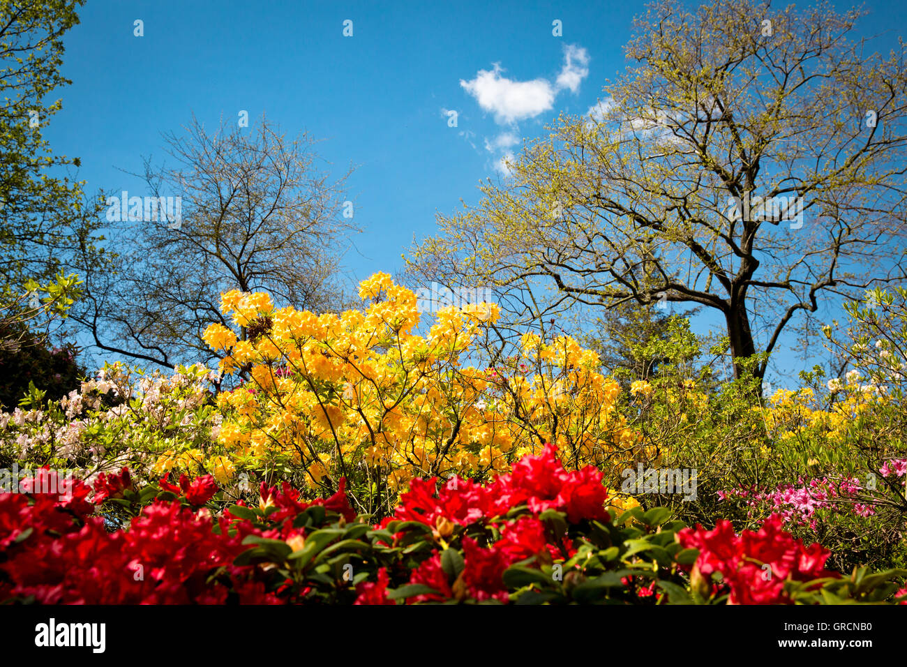 Spring items hi-res stock photography and images - Alamy