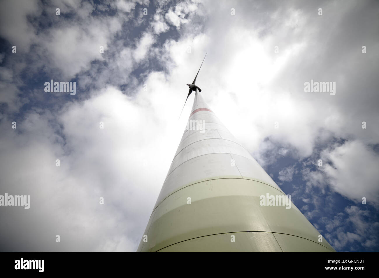 Frog perspective hi-res stock photography and images - Alamy