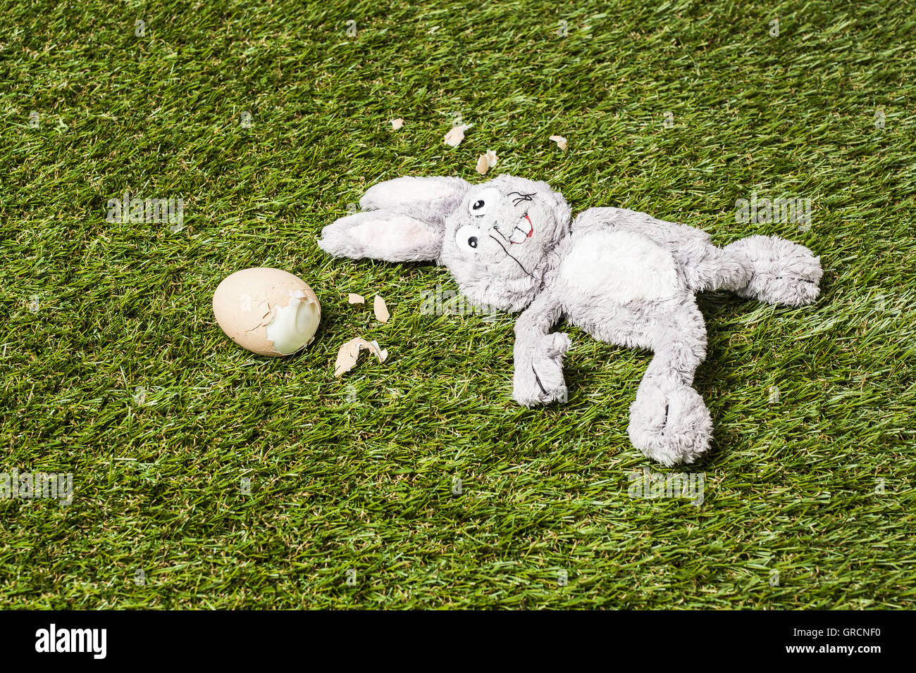 Easterbunny Hit By An Egg Stock Photo - Alamy