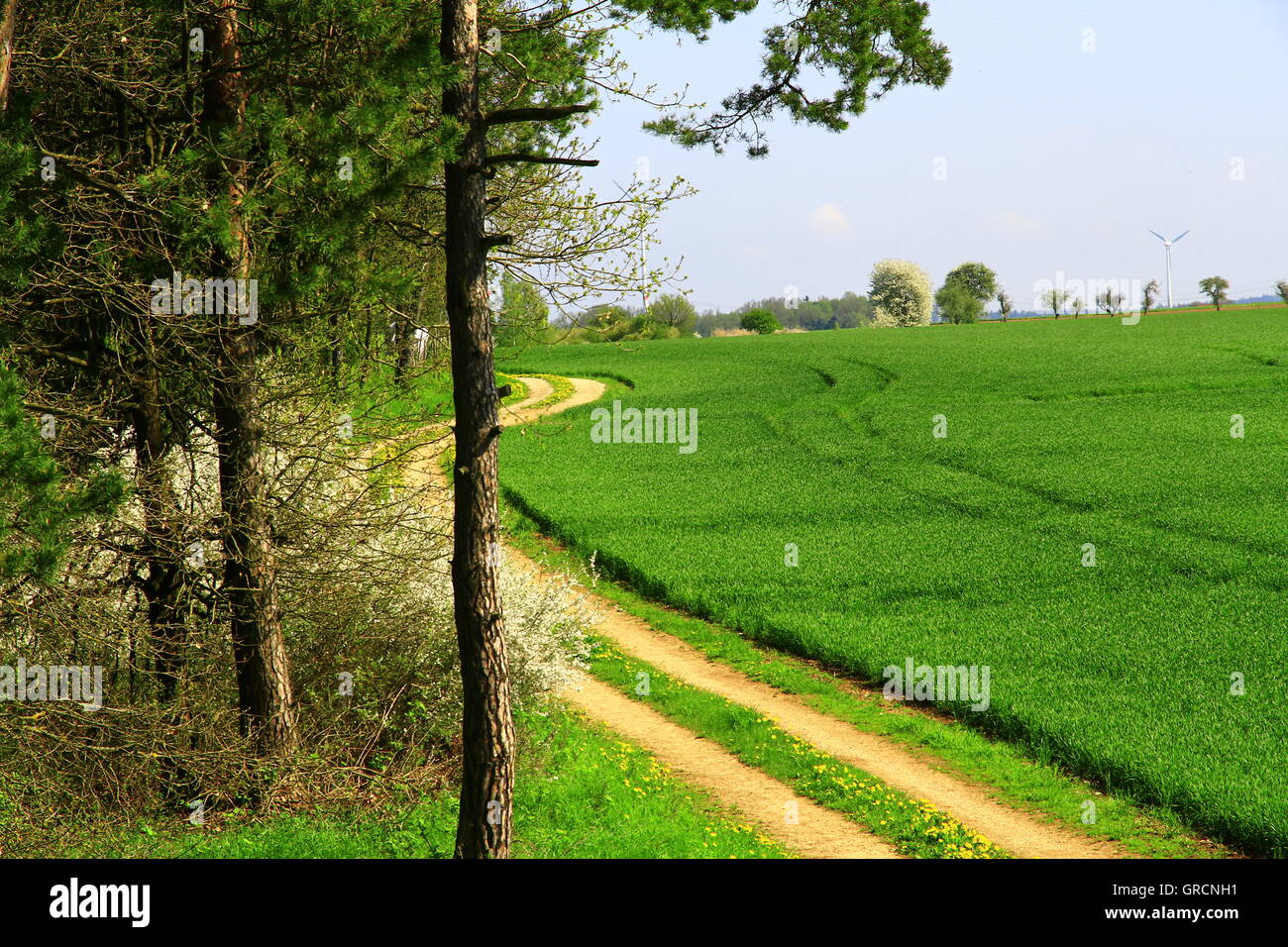 Way To Walk Stock Photo - Alamy