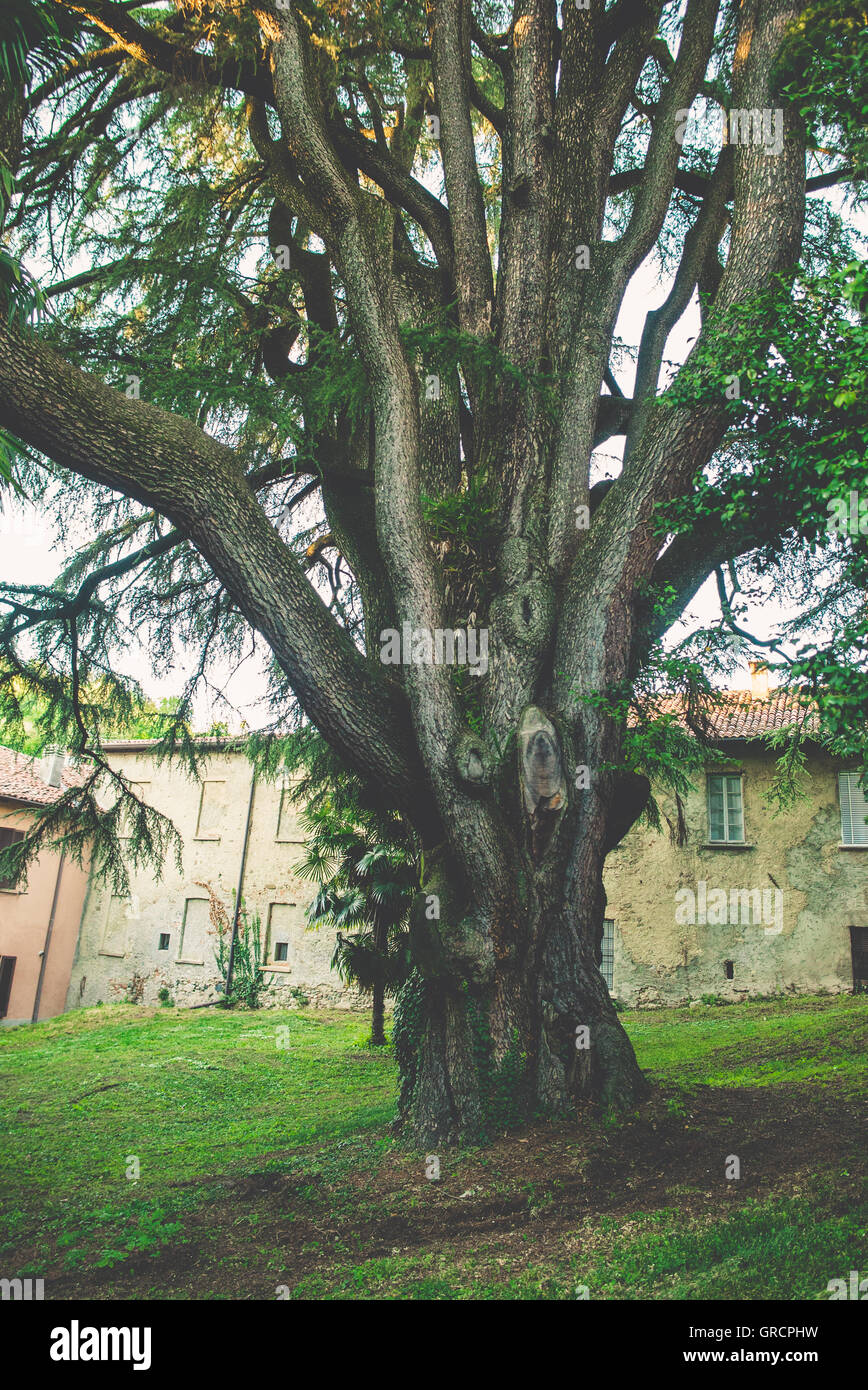 Old big house hi-res stock photography and images - Alamy