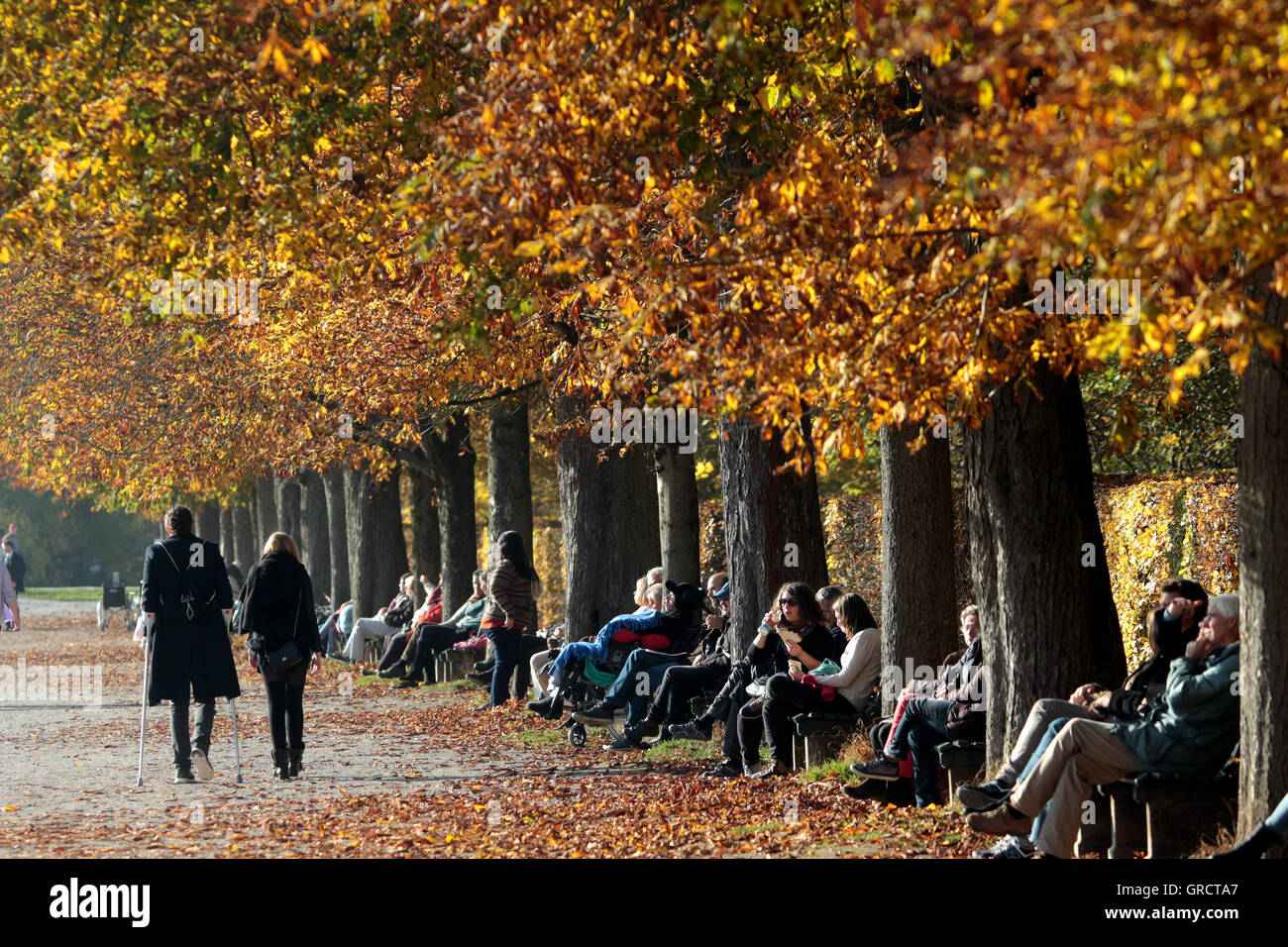 Fall Foliage At Schlosspark Nymphenburg, Munich Stock Photo - Alamy