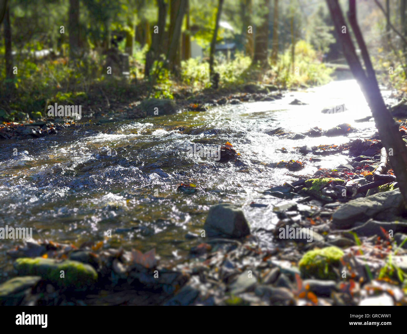 Brook In The Sunshine Stock Photo - Alamy