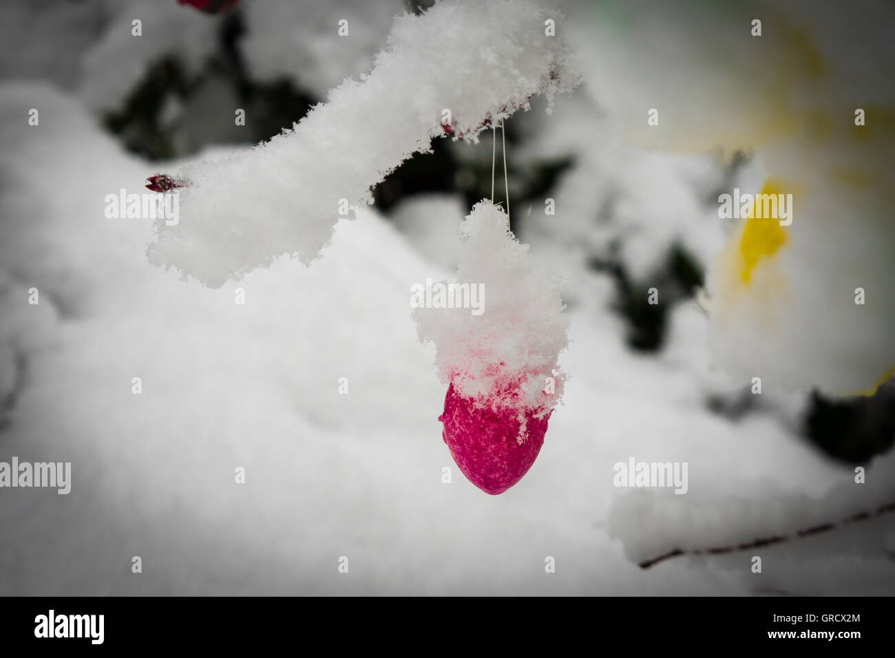 Snow At Easter Stock Photo - Alamy