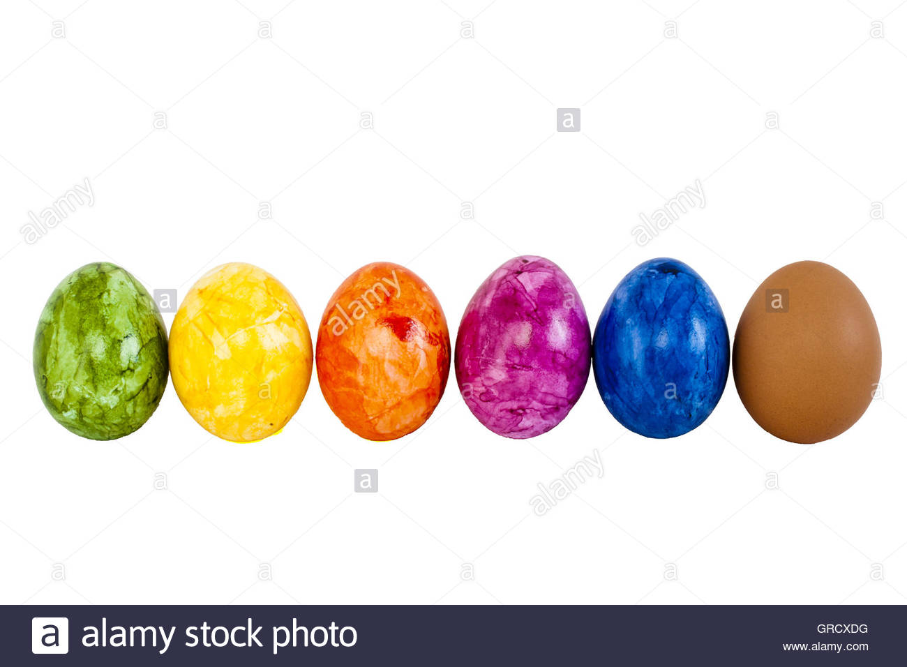 Normal Shell Stock Photos & Normal Shell Stock Images - Alamy