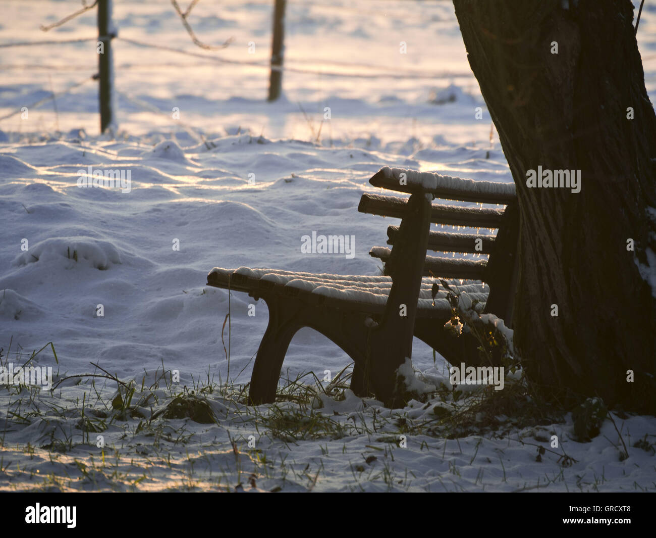 Old wooden bench lakeshore hi-res stock photography and images - Alamy