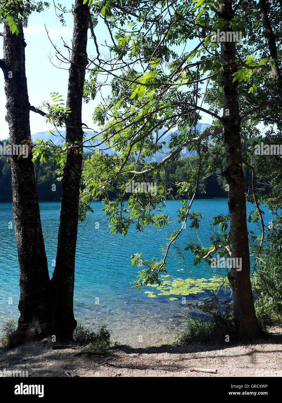German Lake In Bavaria Stock Photo - Alamy