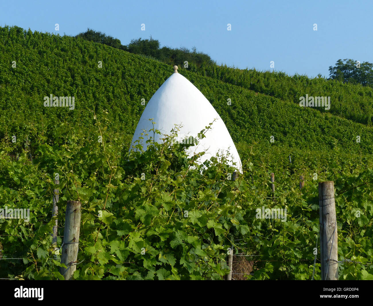 Flonheim in rhinehesse hi-res stock photography and images - Alamy