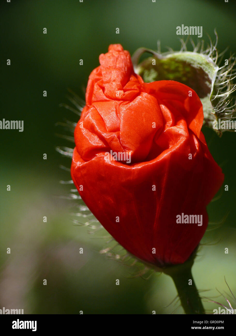 Unfolding hi-res stock photography and images - Alamy