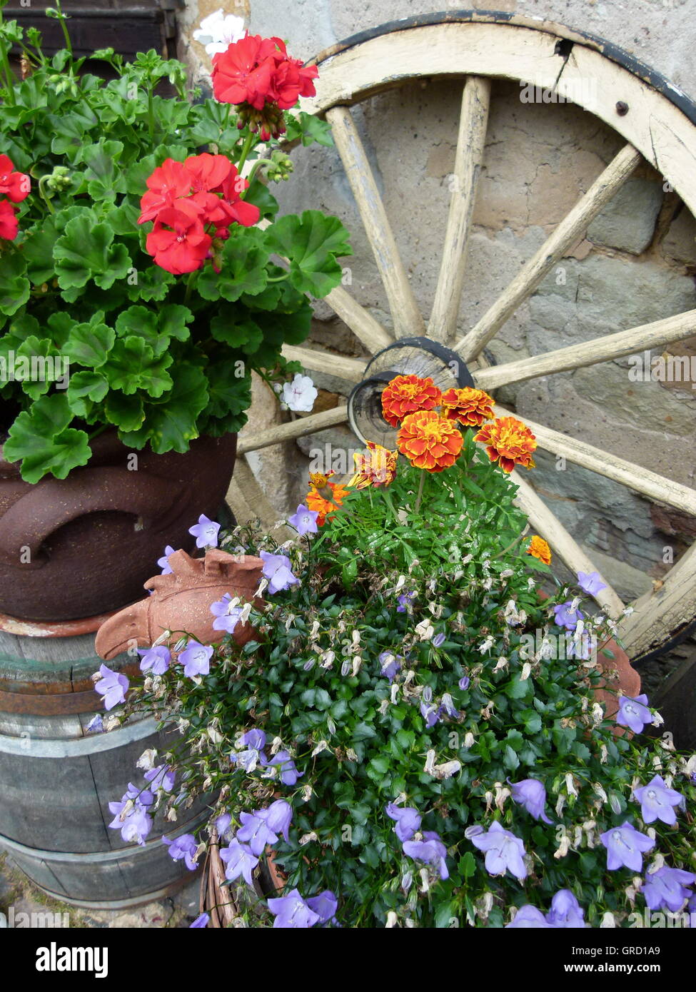 Outdoor Still Life In Summer Stock Photo - Alamy
