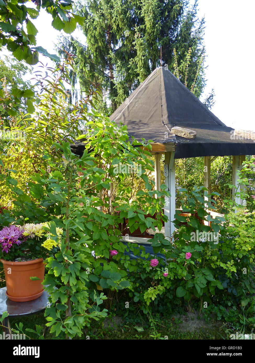 Pavilion In Garden Stock Photo - Alamy