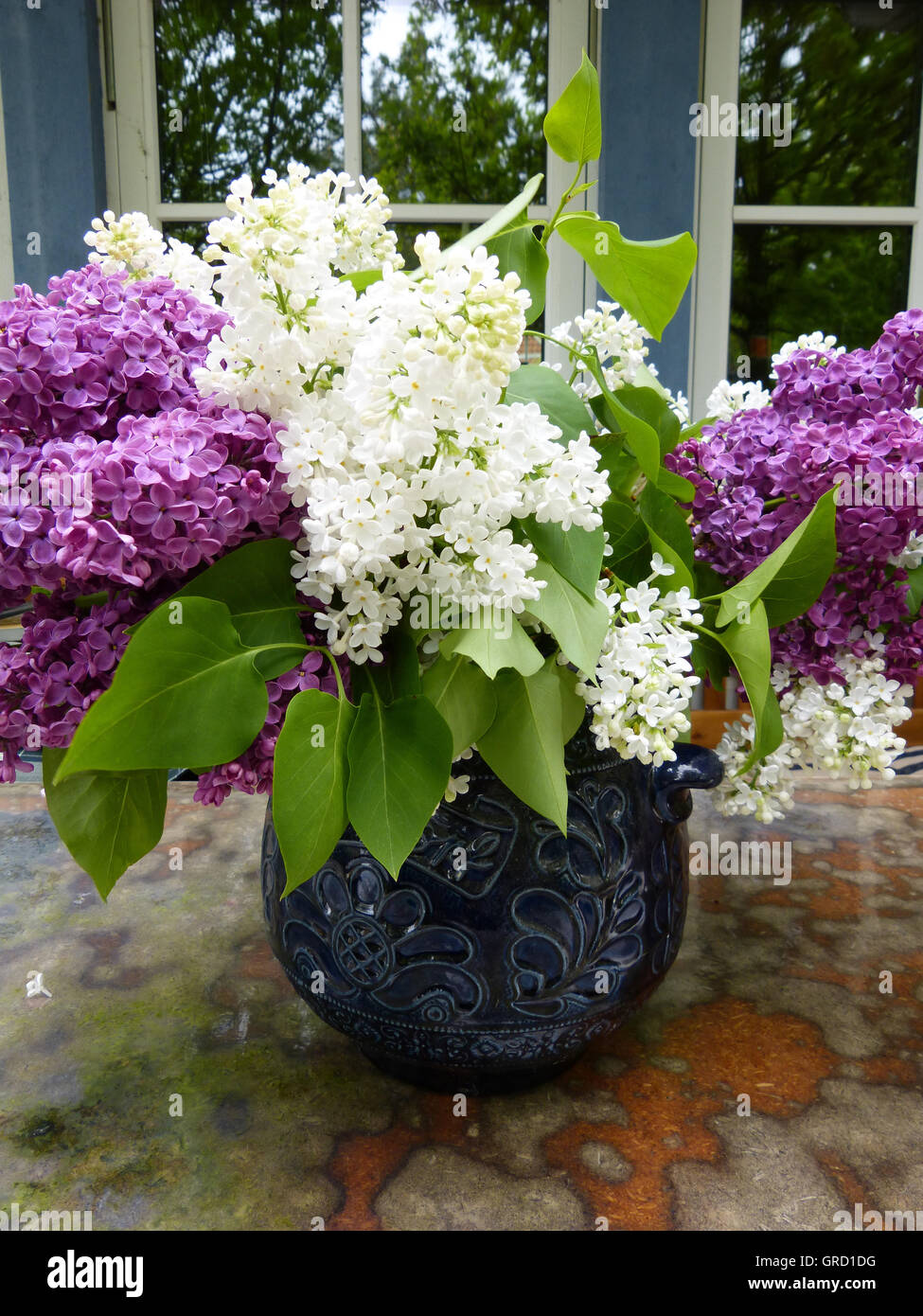 Bunch Of Lilac In A Vase Stock Photo - Alamy
