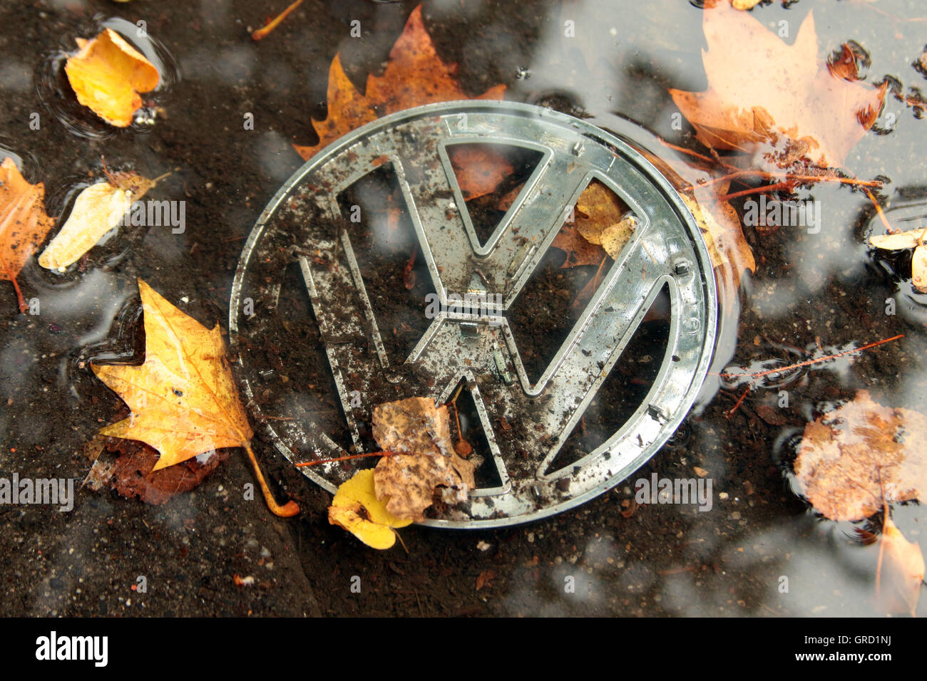 Crisis At Vw Volkswagen Sign Lying In A Puddle At A Curb Stock Photo ...