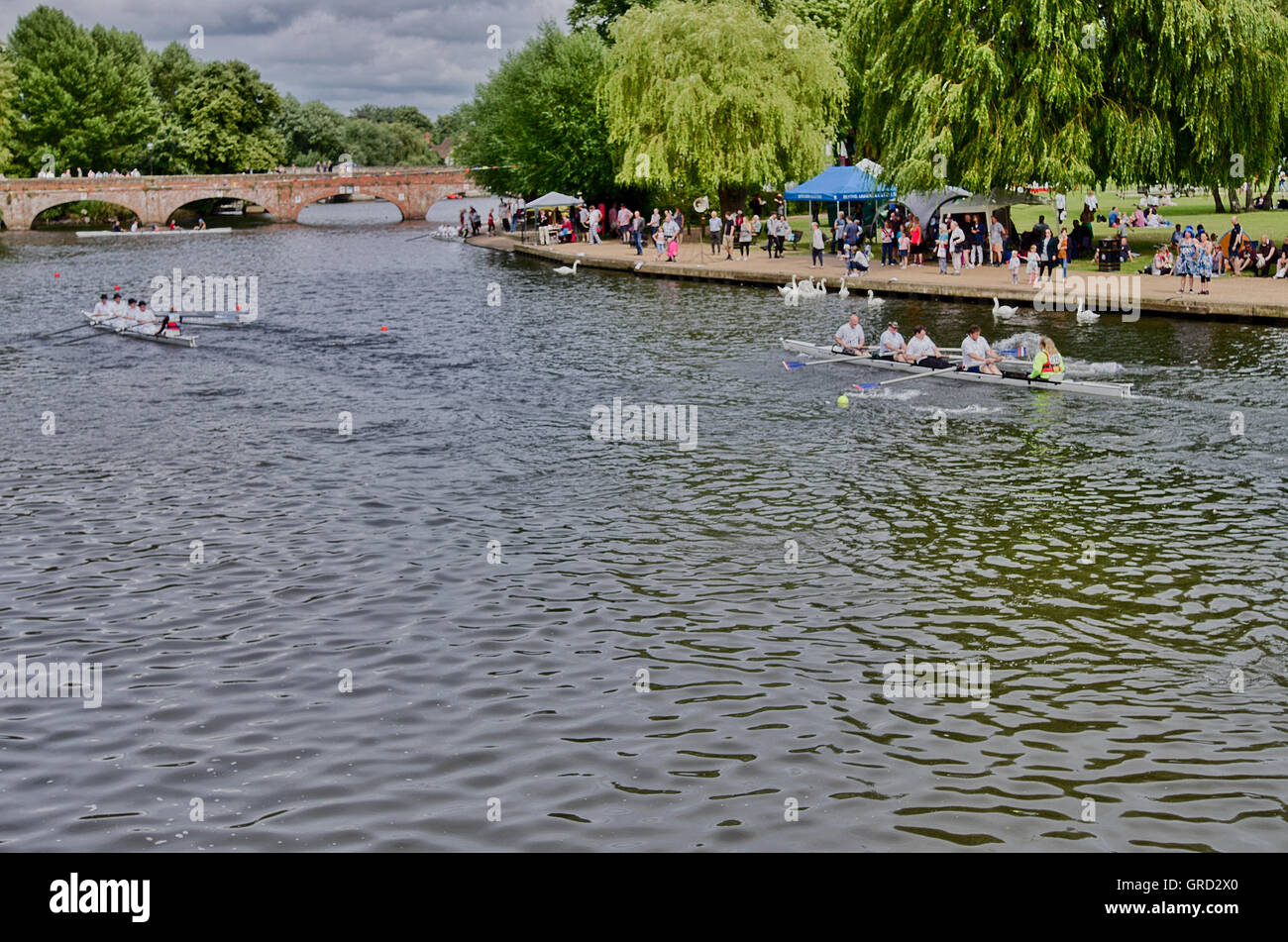 rowing, team, boat, river, row, competition, race, sport, crew, rower ...