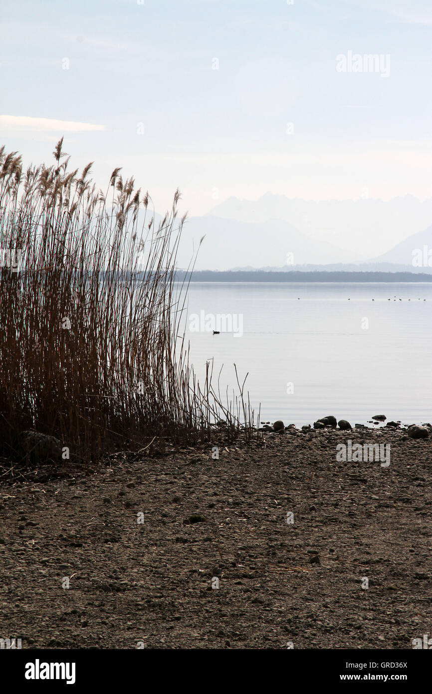 Chiemsee bavaria chiemgau shore hi-res stock photography and images - Alamy