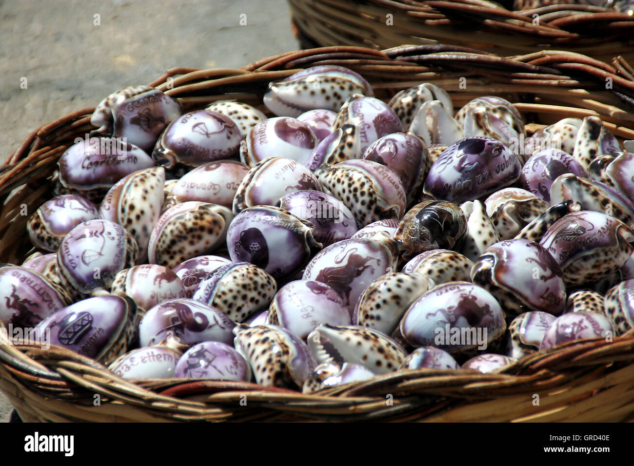 Painted shells hi-res stock photography and images - Alamy