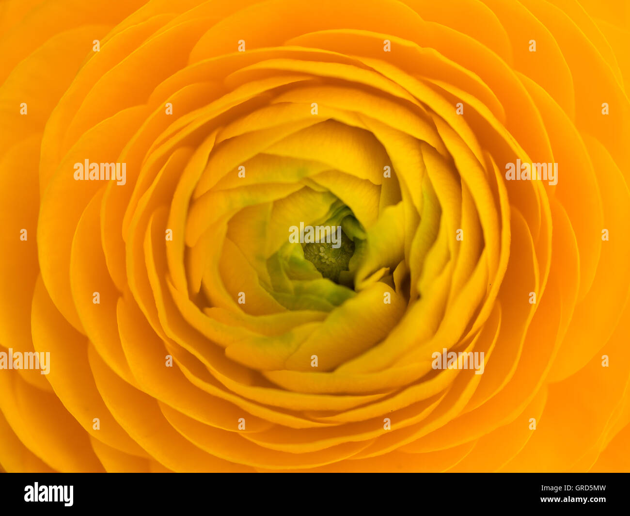 Feeling Of Security Stock Photo - Alamy