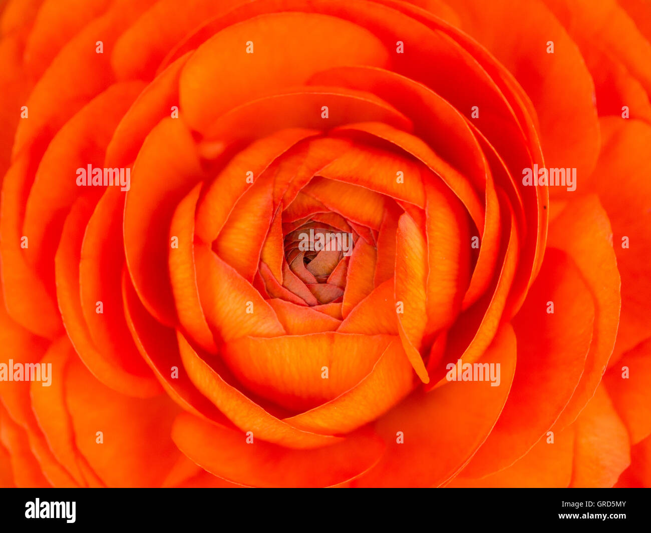 Feeling Of Security Stock Photo - Alamy