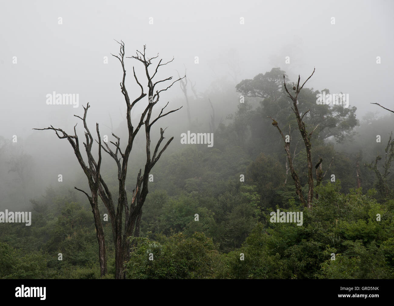Rain sad mourn hi-res stock photography and images - Alamy