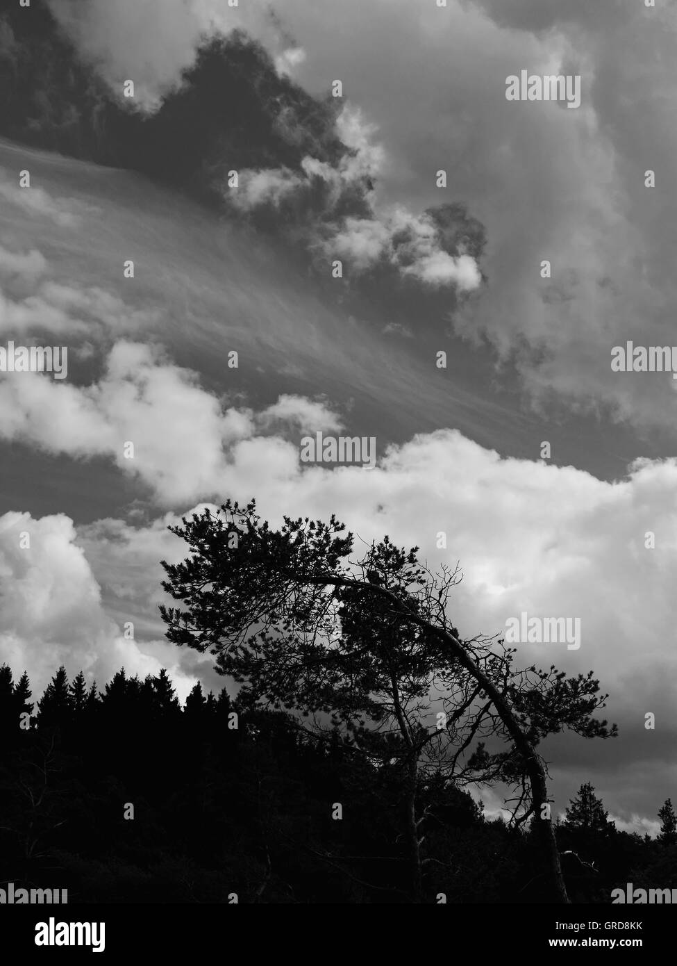 In the black fantastic Black and White Stock Photos & Images - Alamy