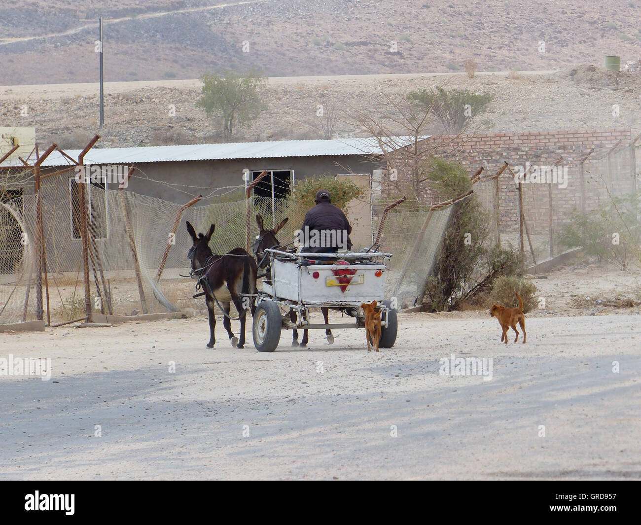 Traveling By Donkey Cart Stock Photo - Alamy