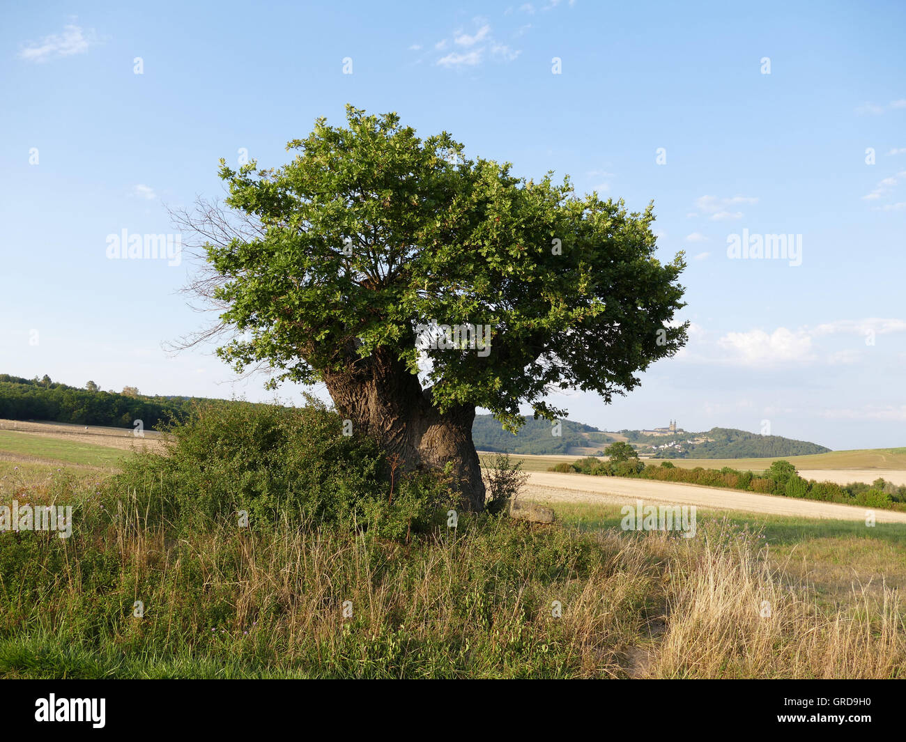 Hugeling hi-res stock photography and images - Alamy
