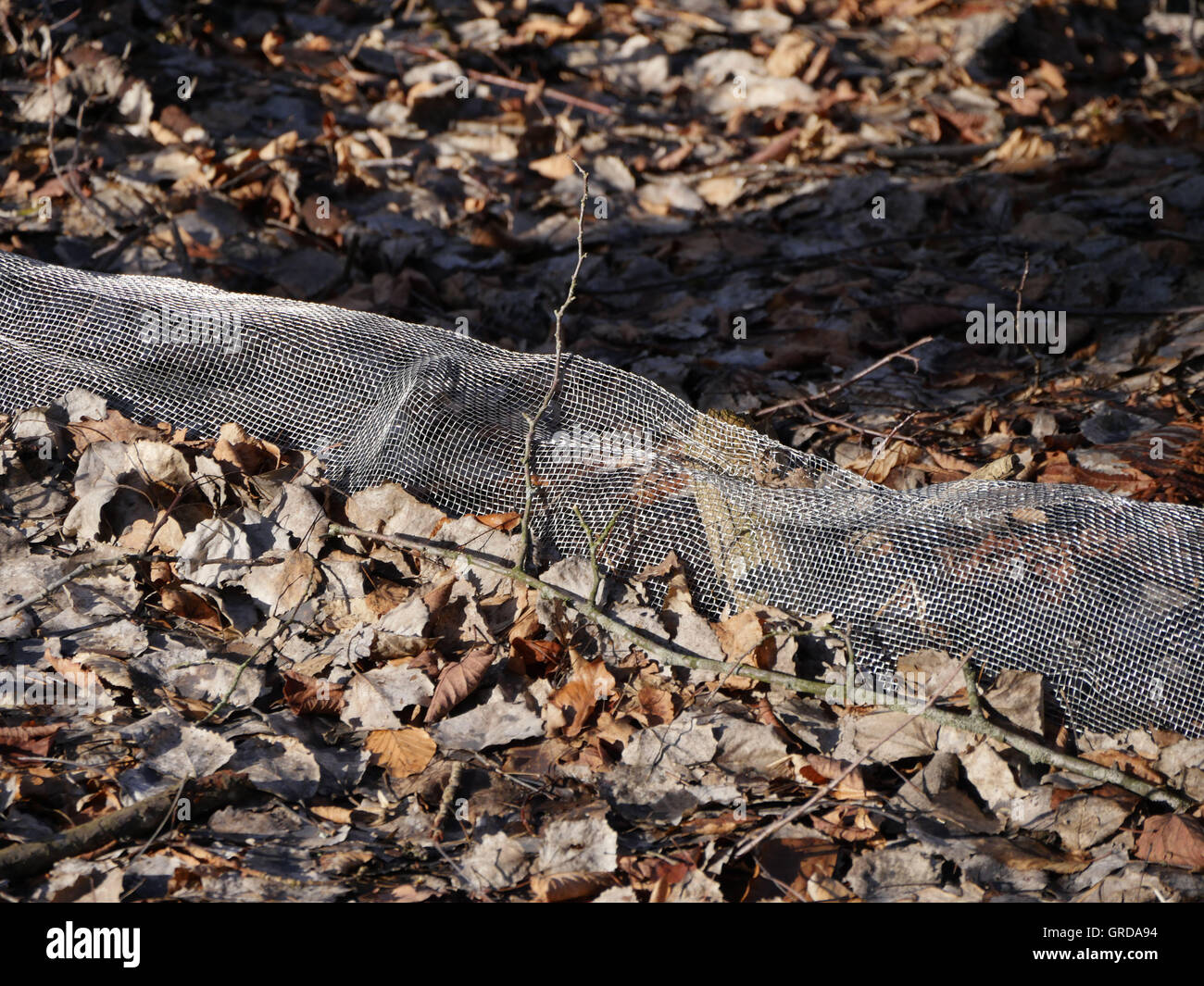 Barrier against toad crossing hi-res stock photography and images - Alamy