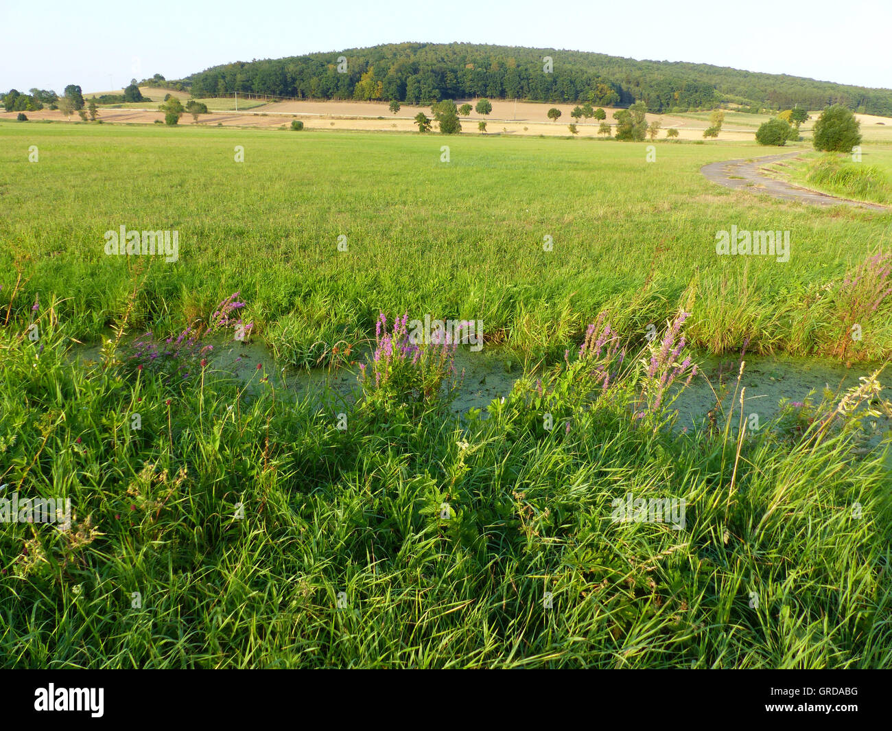 Natural Brook In Beautiful Landscape In Itzgrund, Upper Franconia Stock ...