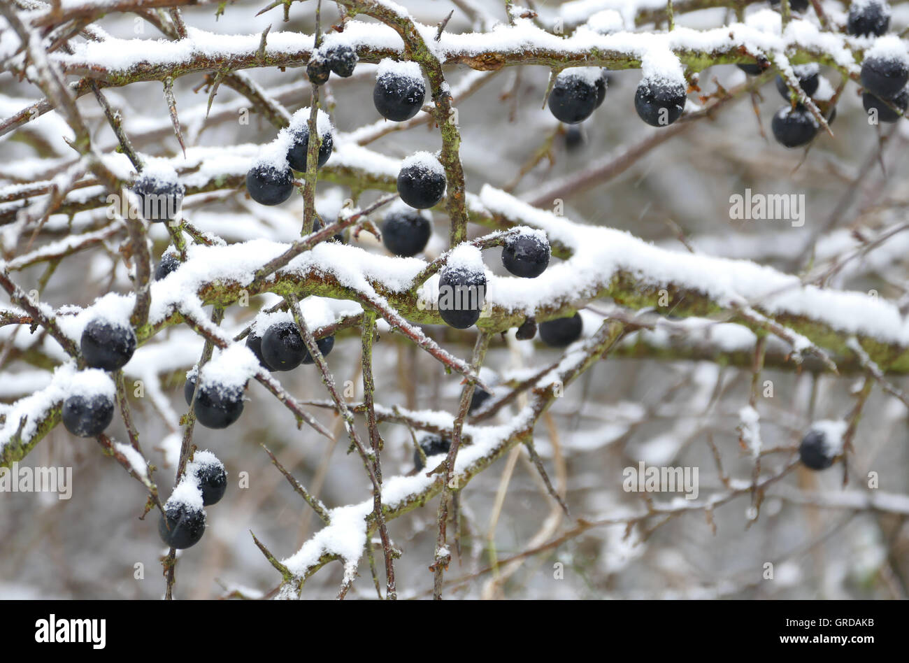 Coldness hi-res stock photography and images - Alamy