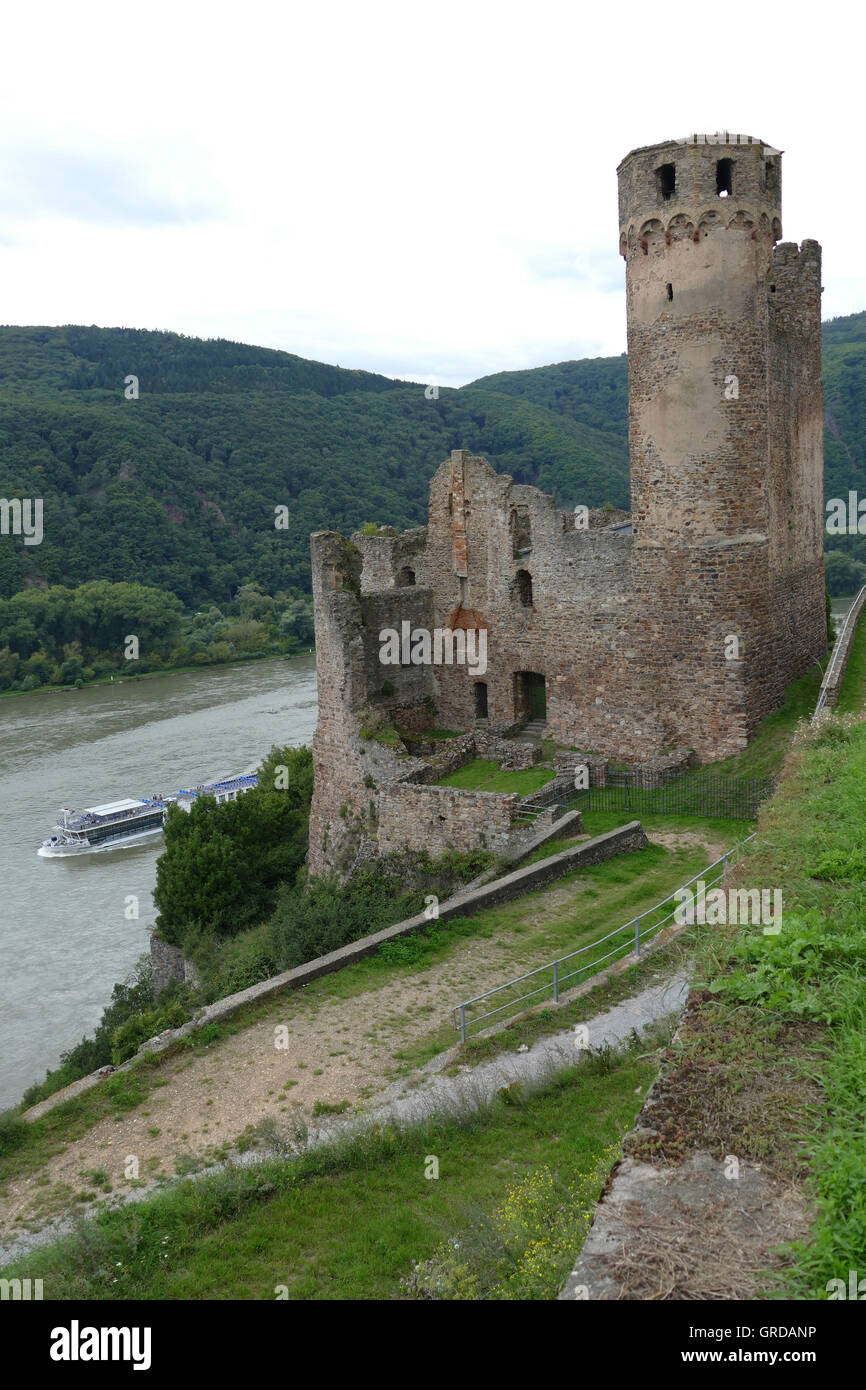 Castle Ruin Ehrenfels Near Rudesheim, River Rhine, Hesse, Germany ...