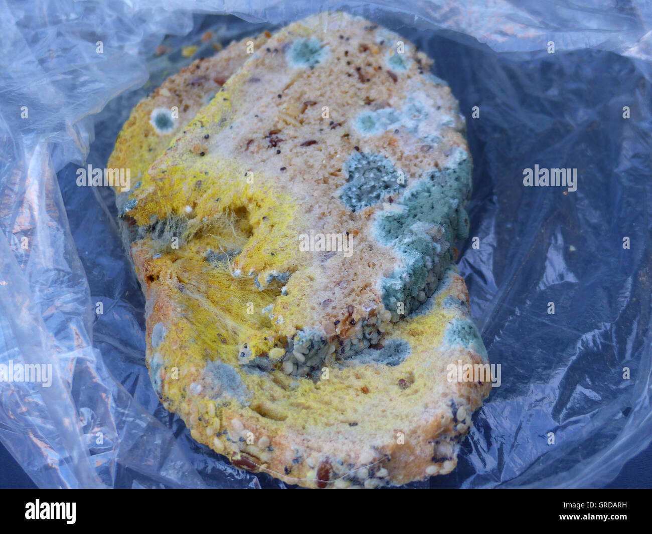 Various Types Of Mold On Bread Stock Photo - Alamy