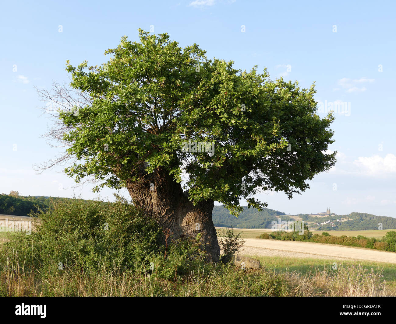 The millennial monument hi-res stock photography and images - Alamy