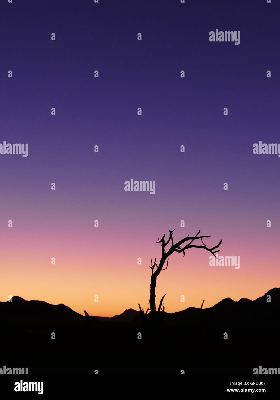 Edge of desert hi-res stock photography and images - Alamy