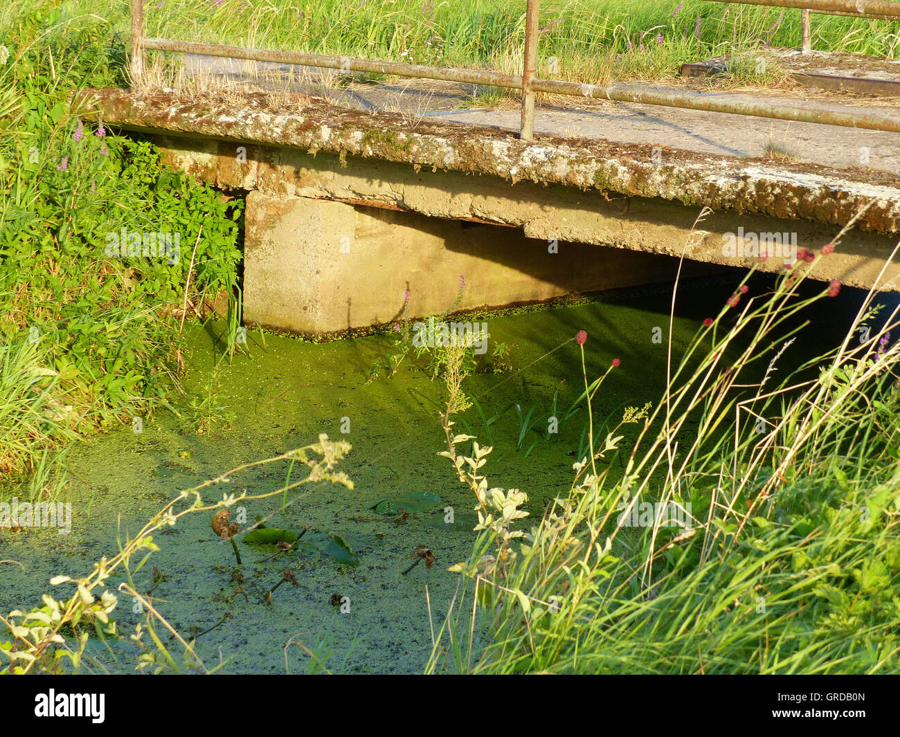German natural landscapes hi-res stock photography and images - Alamy