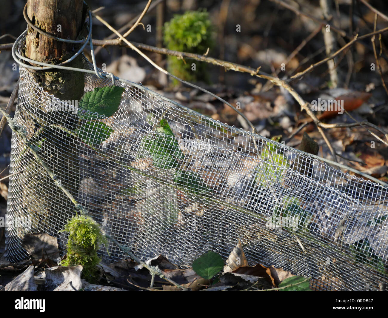 Barrier against toad crossing hi-res stock photography and images - Alamy
