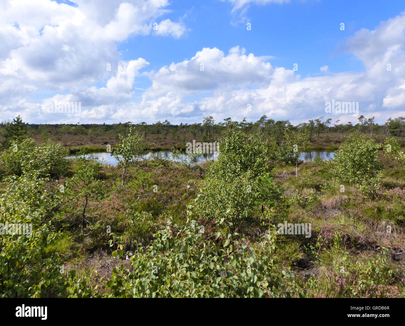 Moor waters hi-res stock photography and images - Alamy