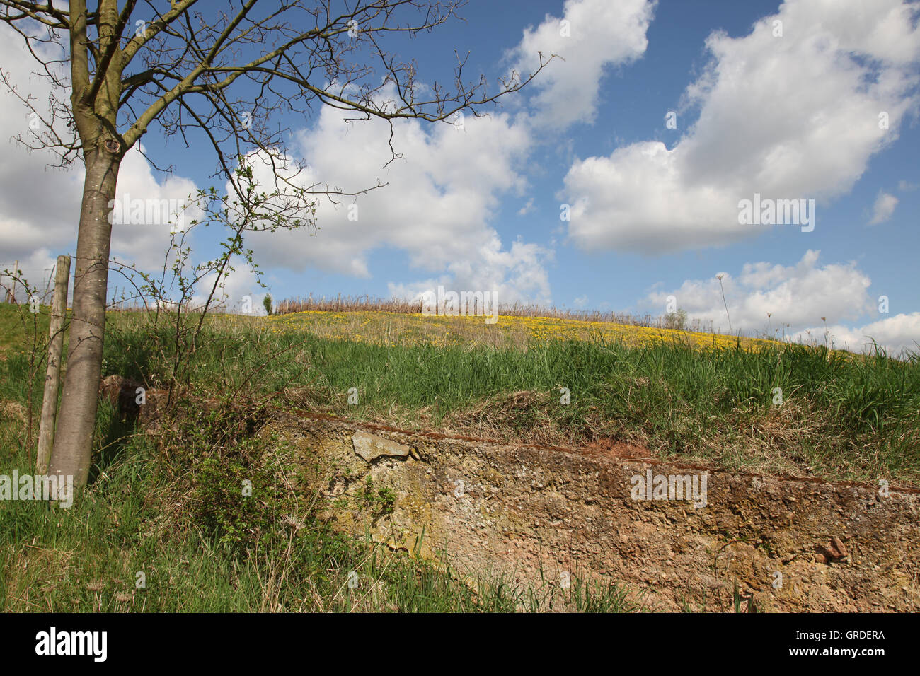 Rhineland landscape hi-res stock photography and images - Alamy