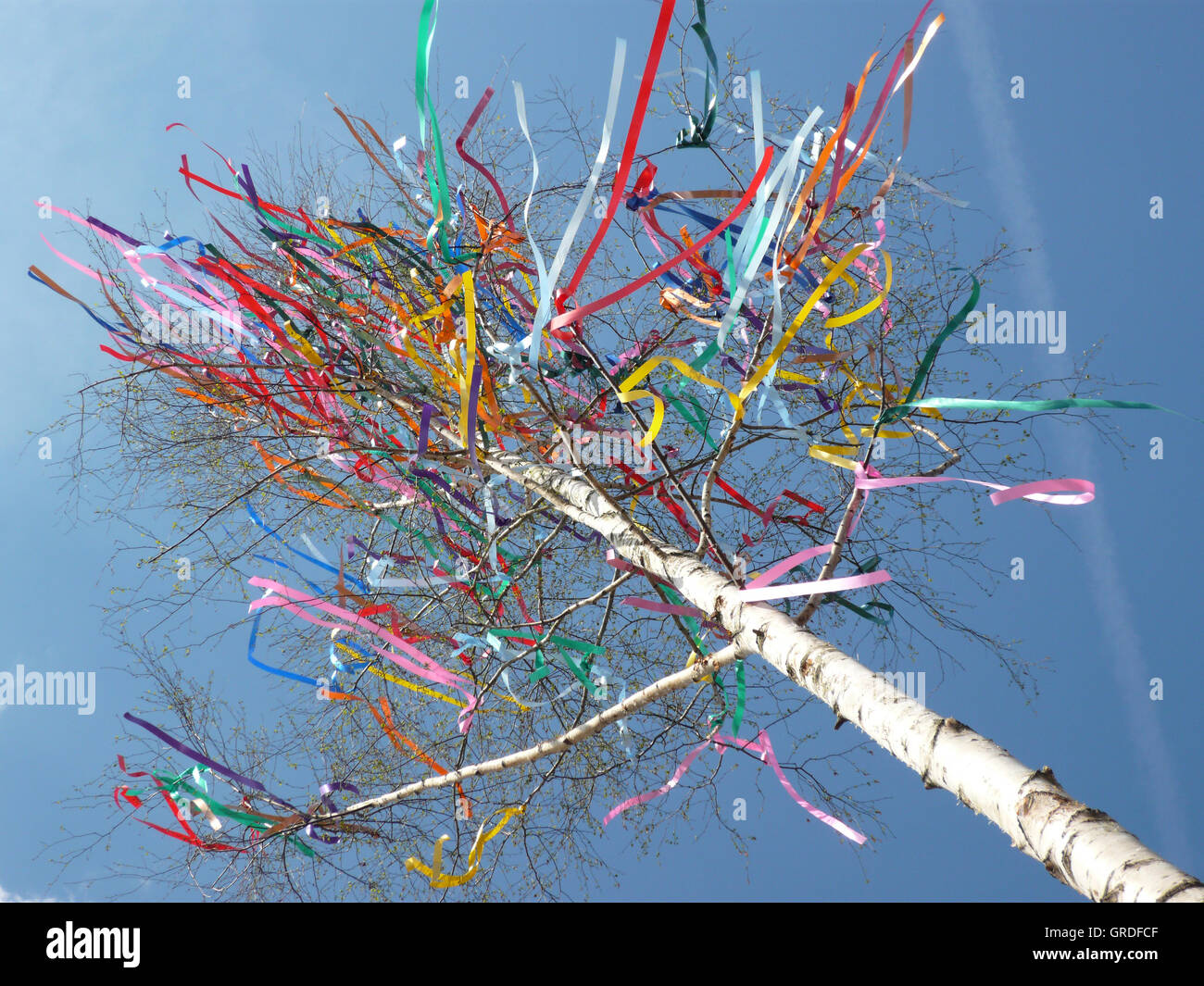 Decorated plant and ribbons hi-res stock photography and images - Alamy