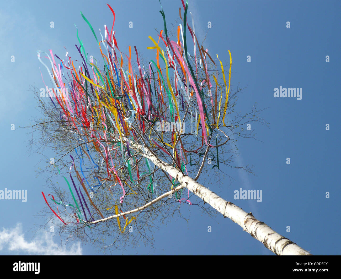 With Coloured Ribbons Decorated Maypole Stock Photo - Alamy