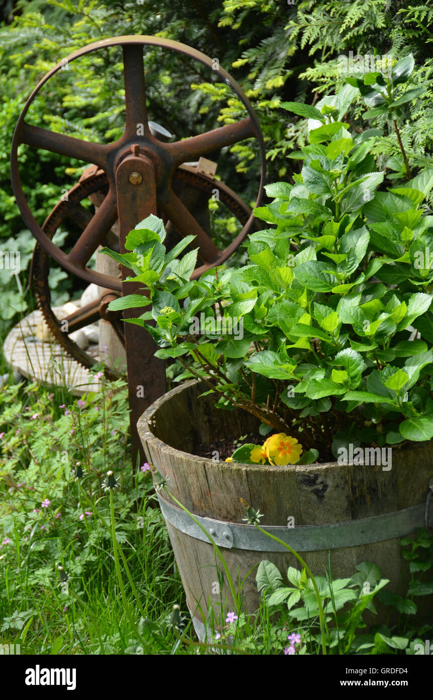 Garden Still Life Stock Photo - Alamy