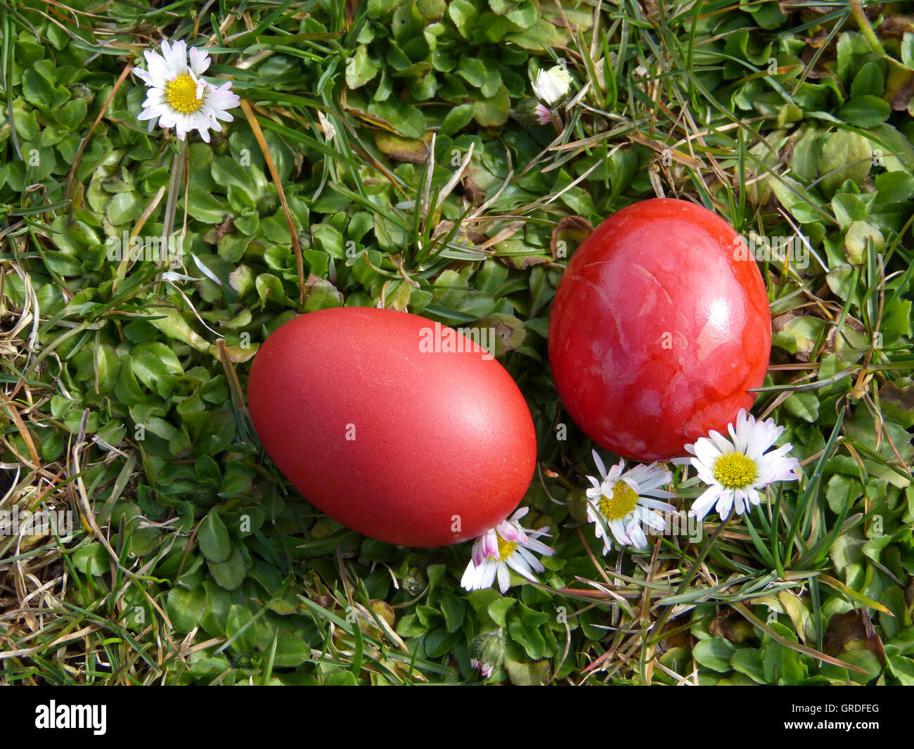 Two easter eggs in hi-res stock photography and images - Alamy