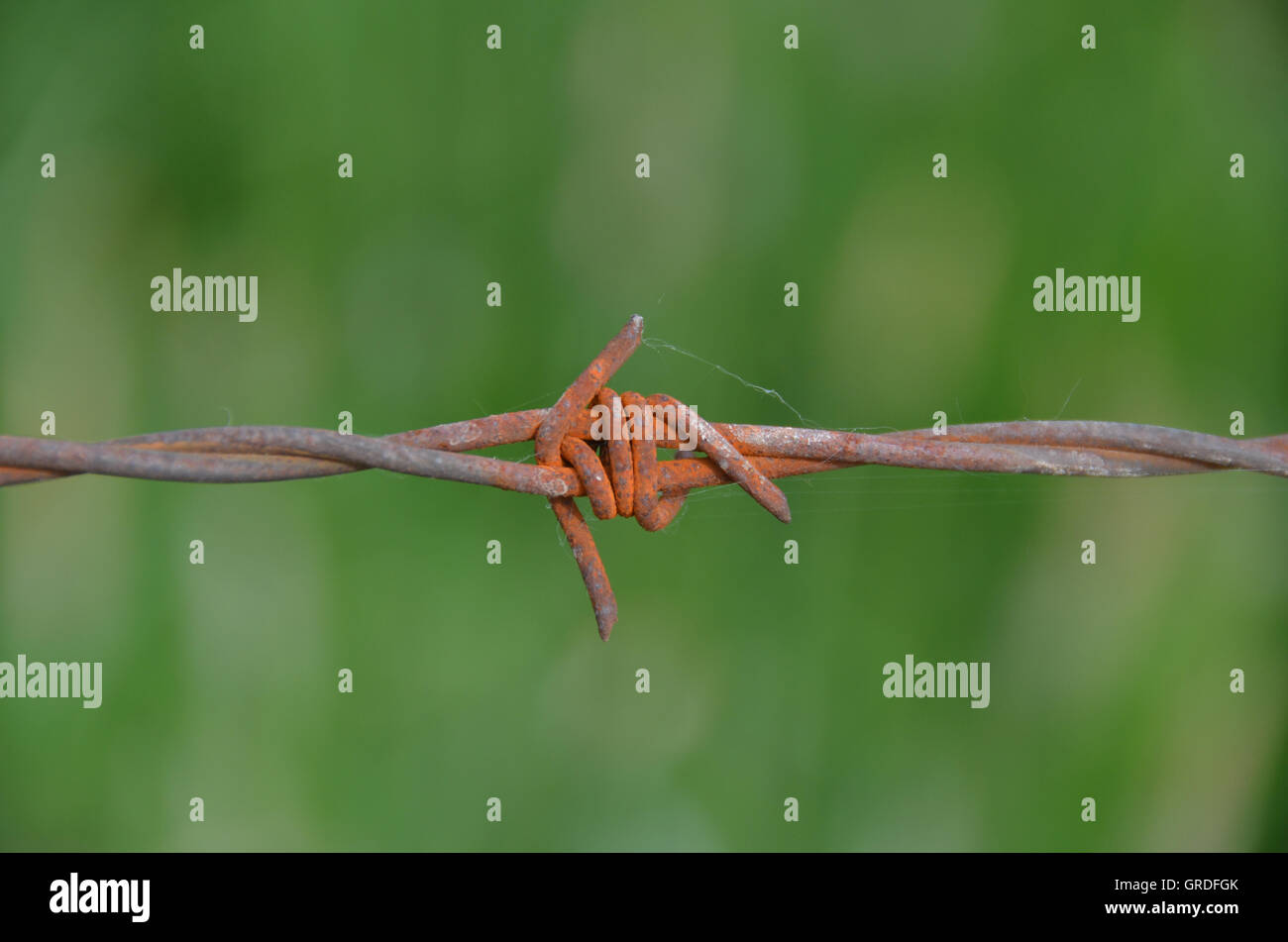 Barbed wires fence hi-res stock photography and images - Alamy