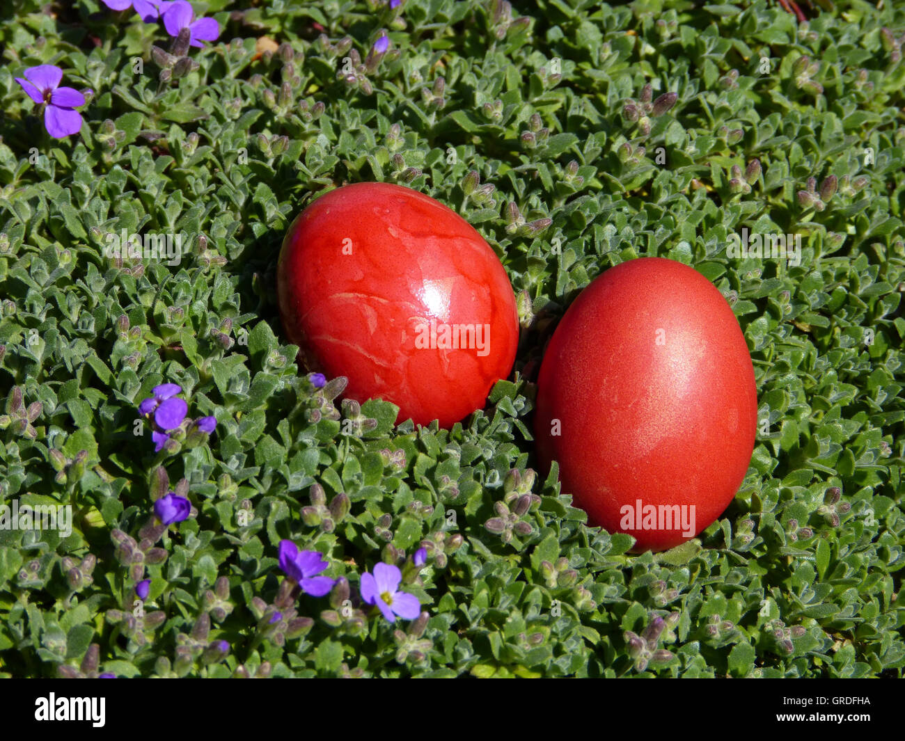 Two Red Easter Eggs Stock Photo - Alamy