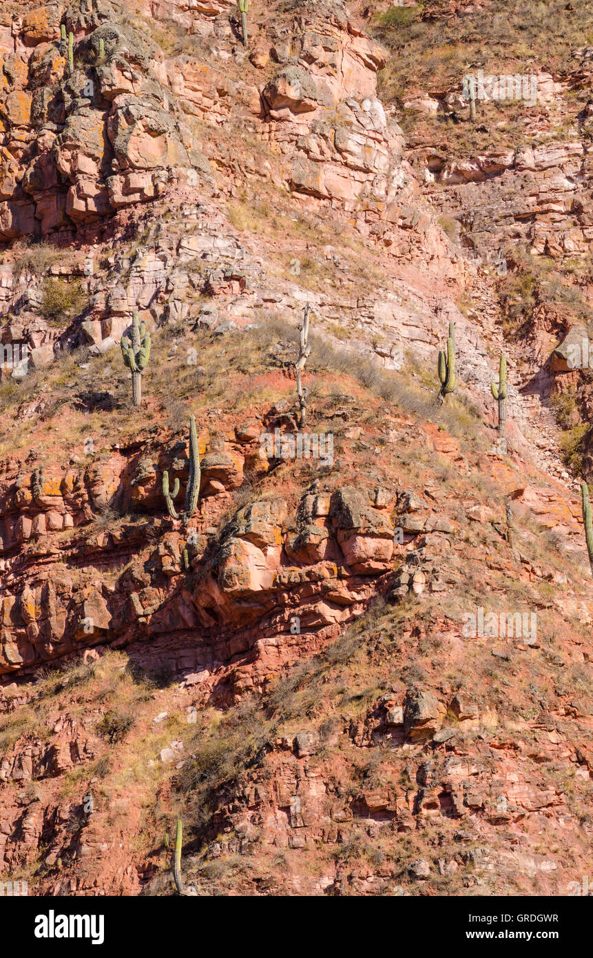Full frame take of a layered rock face Stock Photo - Alamy