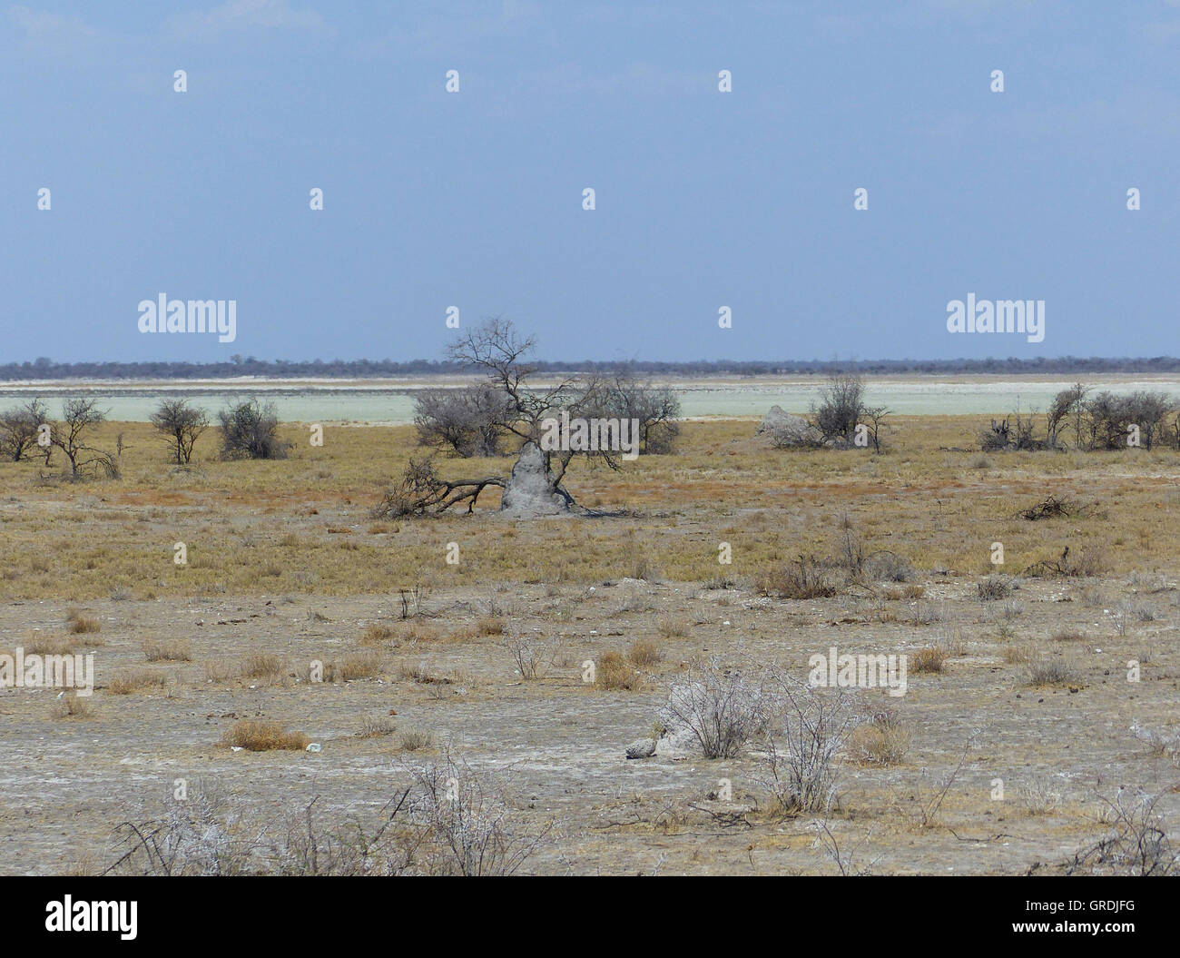 Termite Mound In Etosha Pan Stock Photo - Alamy