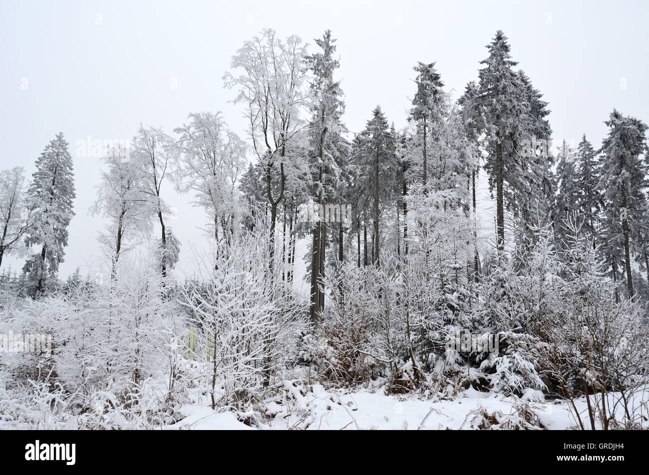 Low mountain range hi-res stock photography and images - Alamy