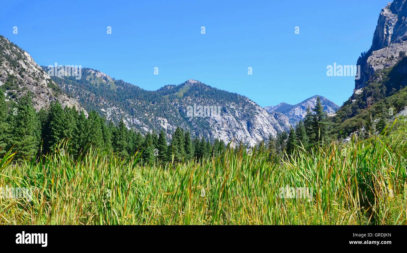 Kings meadow park hi-res stock photography and images - Alamy