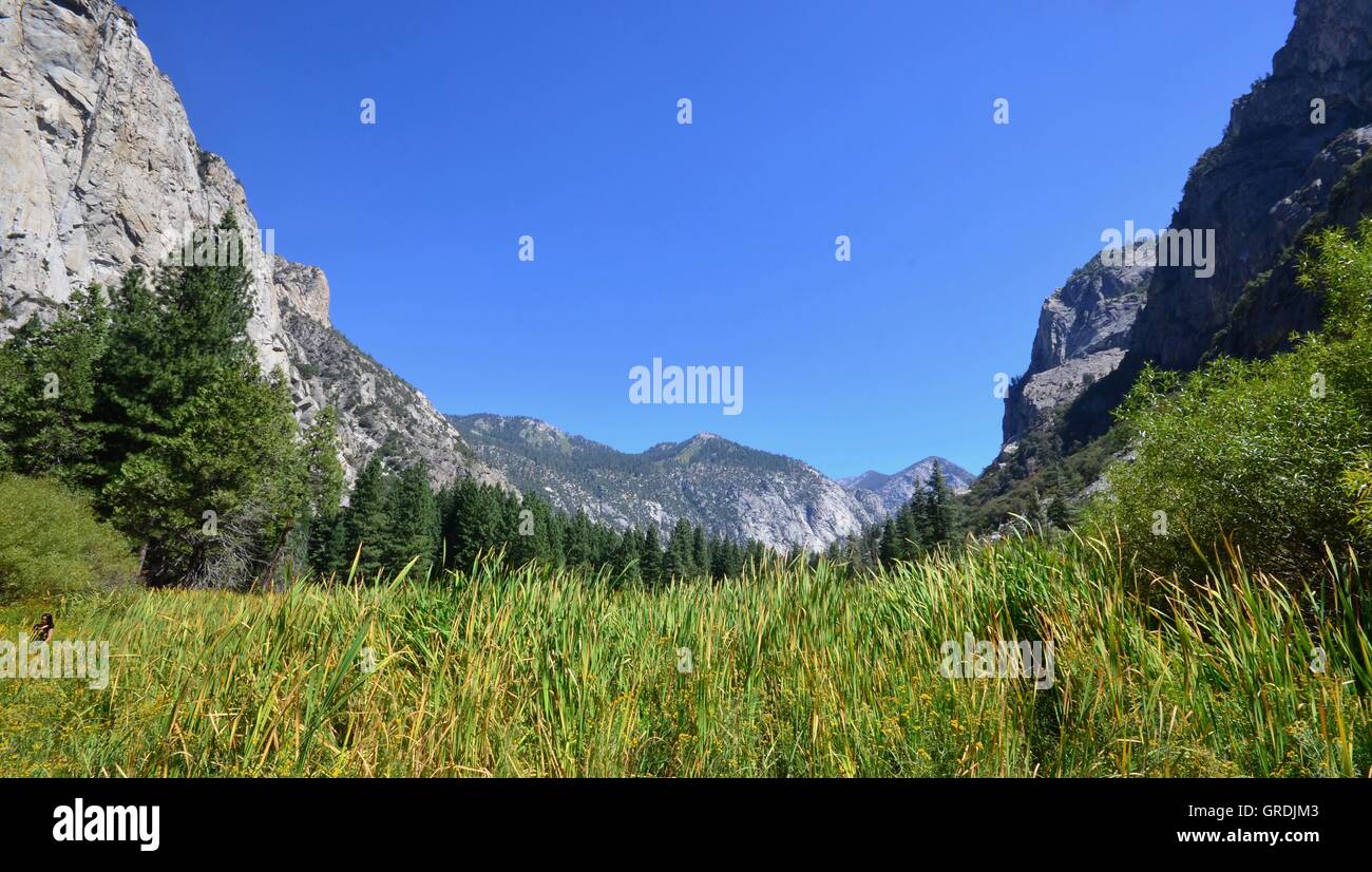 Kings meadow park hi-res stock photography and images - Alamy