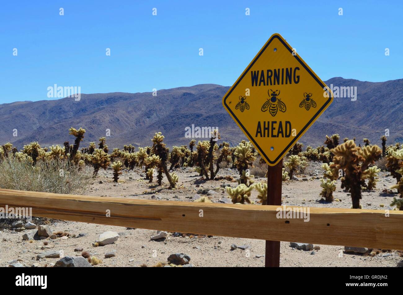 Bee warning sign hi-res stock photography and images - Alamy