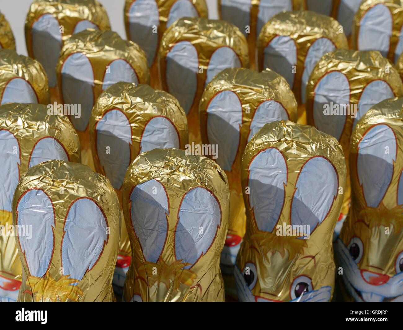 The bunnies hi-res stock photography and images - Alamy